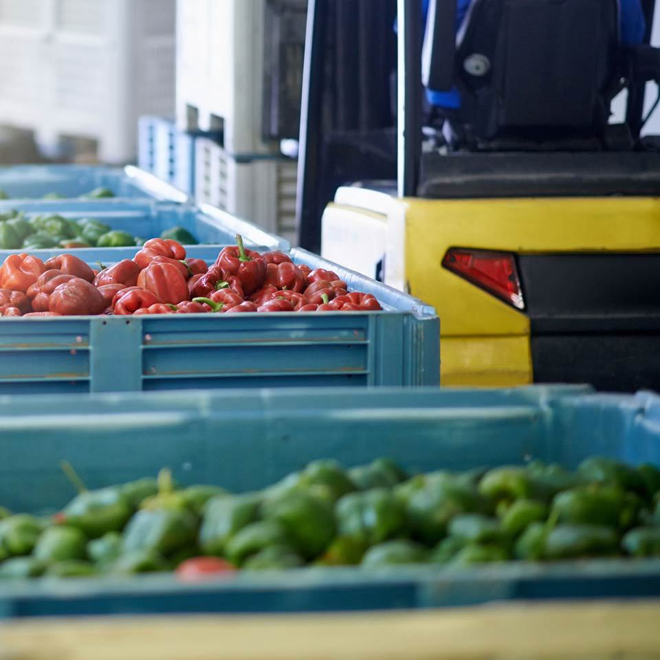 Perishable Logistics | C.H. Robinson